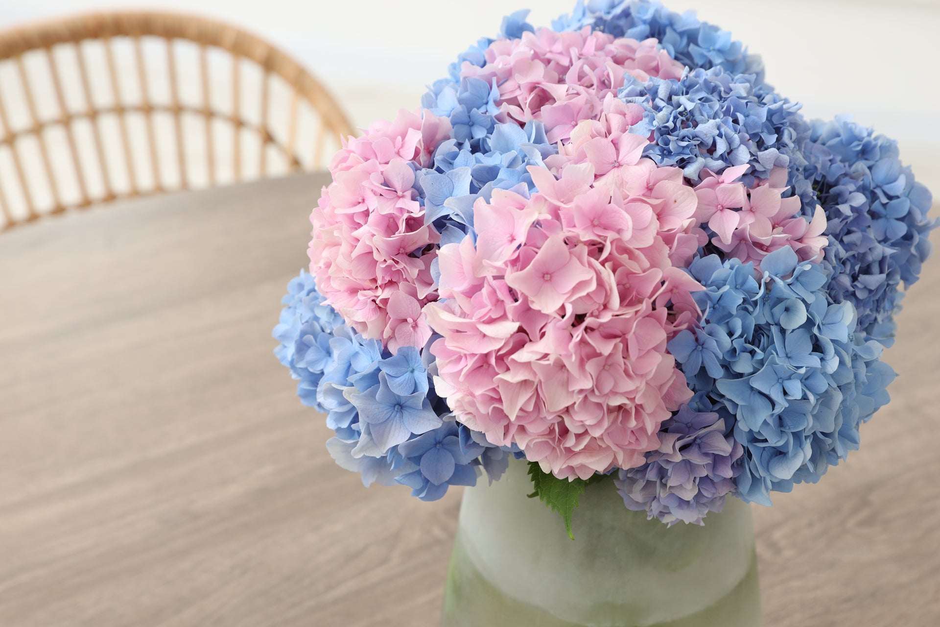 Hydrangeas | Flowers By Karen Inc Ocean Springs–Flowers By Karen